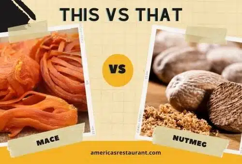 Mace vs Nutmeg: Which is a Better Option? 2026