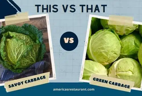 Savoy Cabbage vs Green Cabbage: What's the Difference? 2026